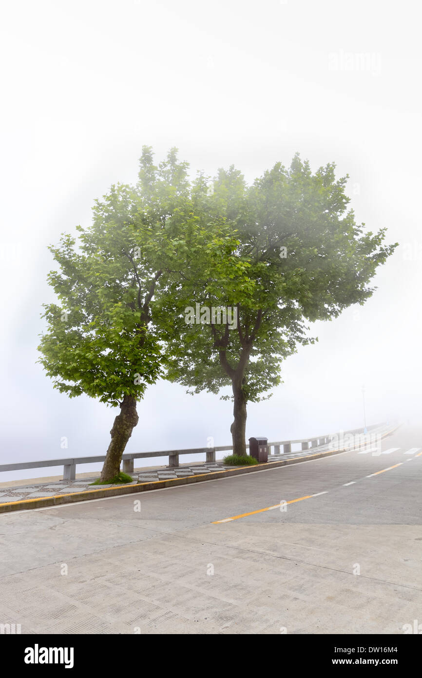 Plane trees hi-res stock photography and images - Alamy