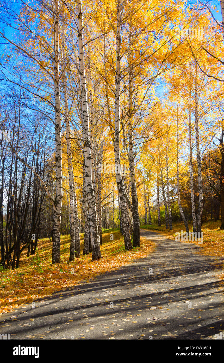 Yellow pathway hi-res stock photography and images - Alamy