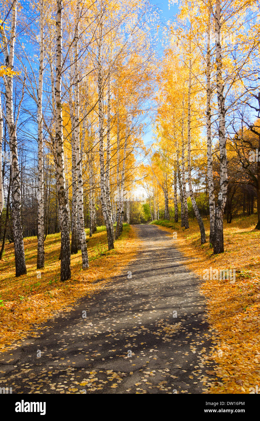 Landscape pathway in yellow hi-res stock photography and images - Alamy