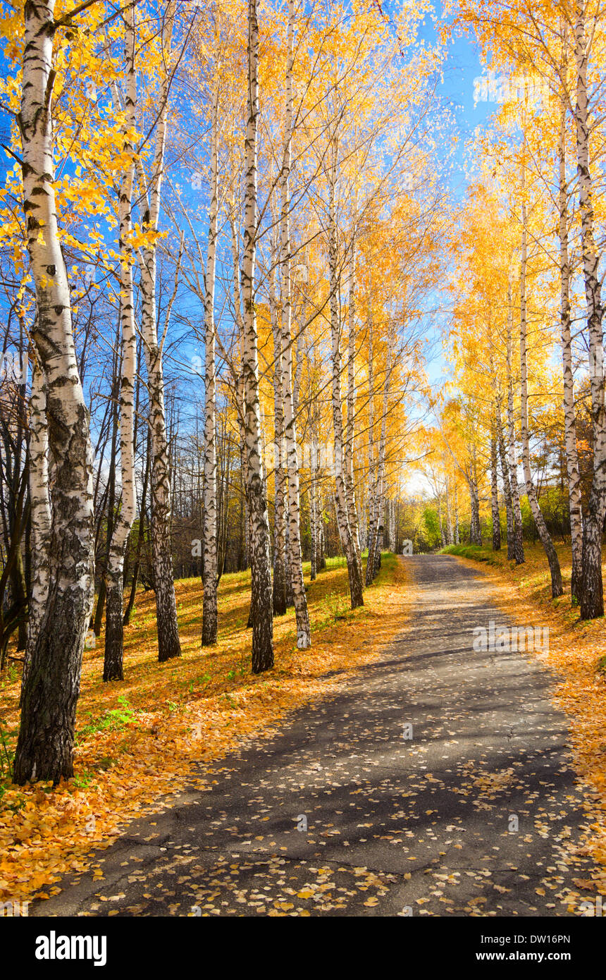 Yellow pathway hi-res stock photography and images - Alamy