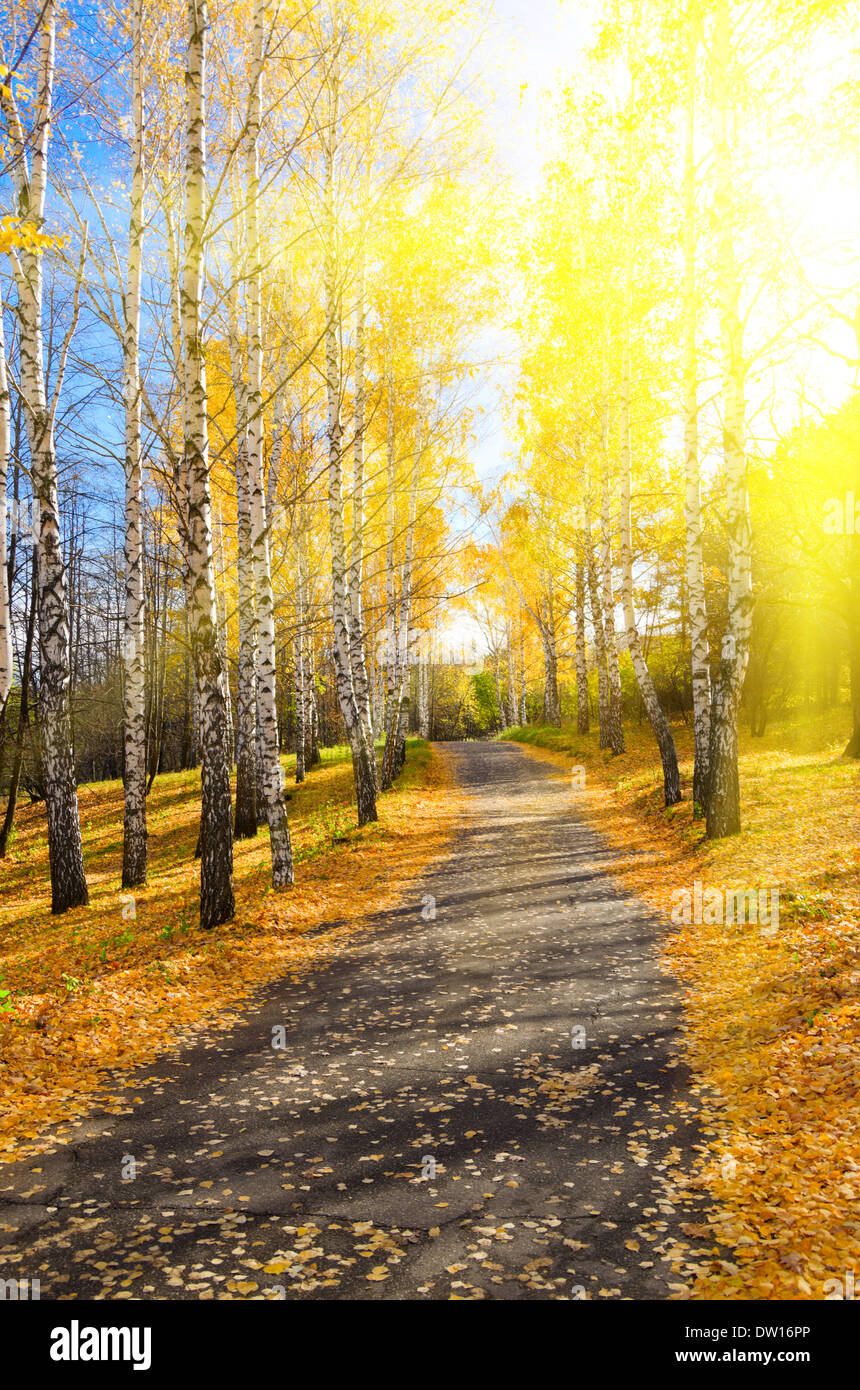 Multi use pathway hi-res stock photography and images - Alamy