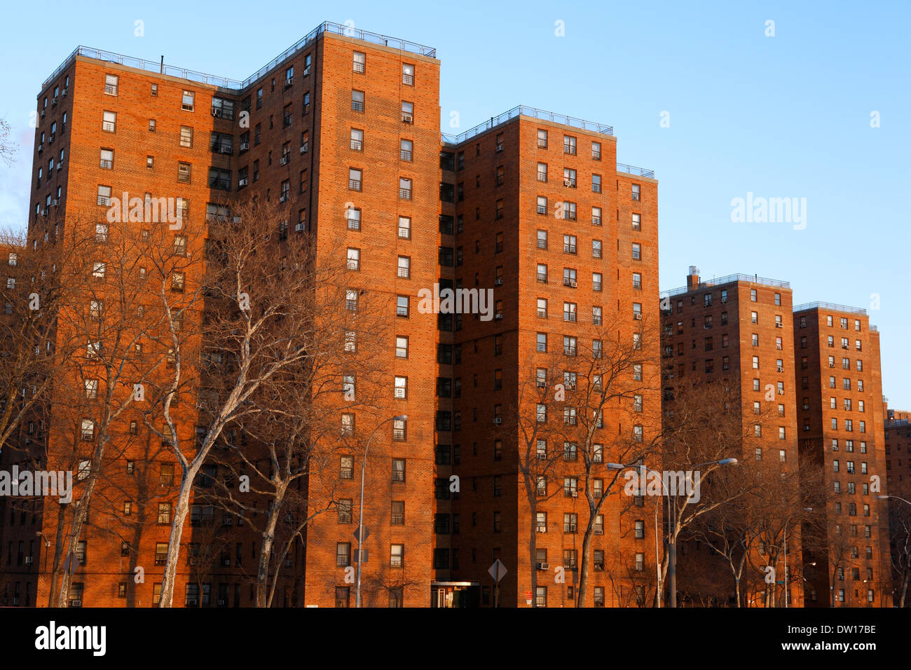 New York City Housing Projects at Samantha Stjohn blog