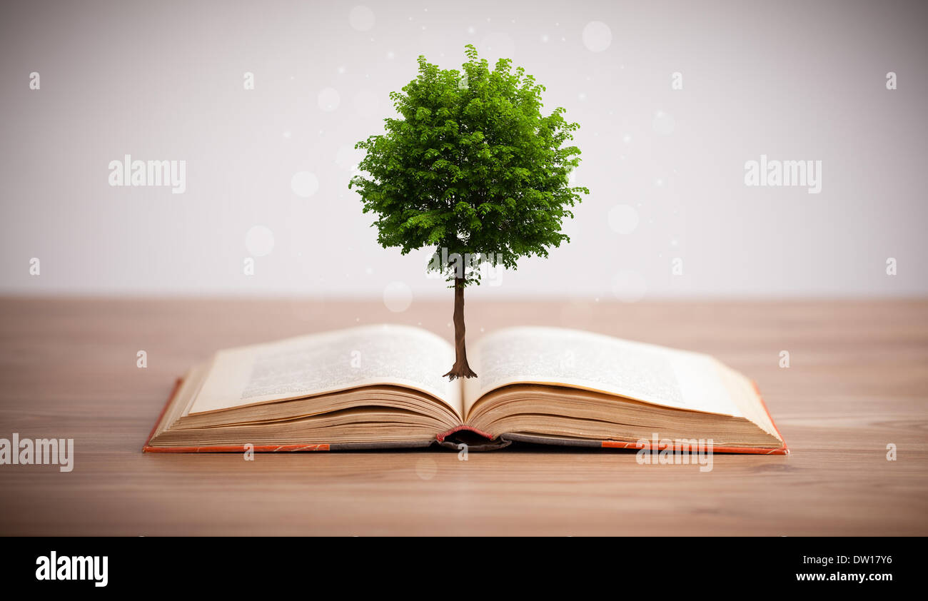 Tree growing from an open book Stock Photo - Alamy
