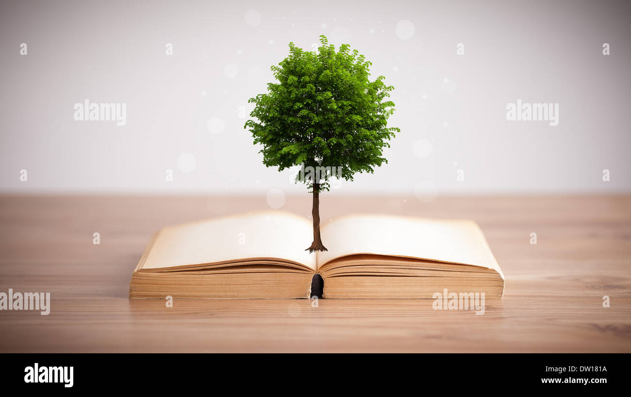 Tree growing from an open book Stock Photo - Alamy