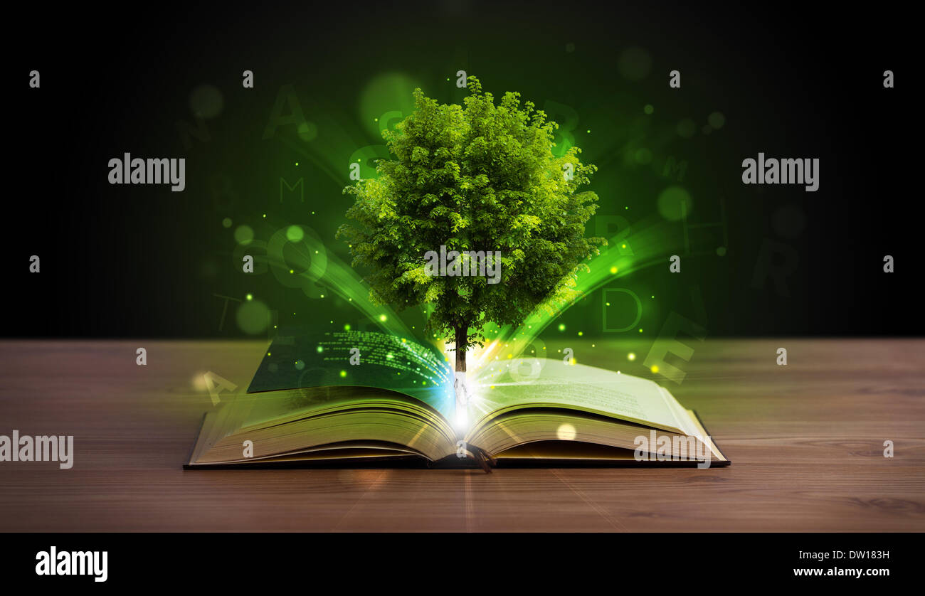 Open book with magical green tree and rays of light Stock Photo - Alamy