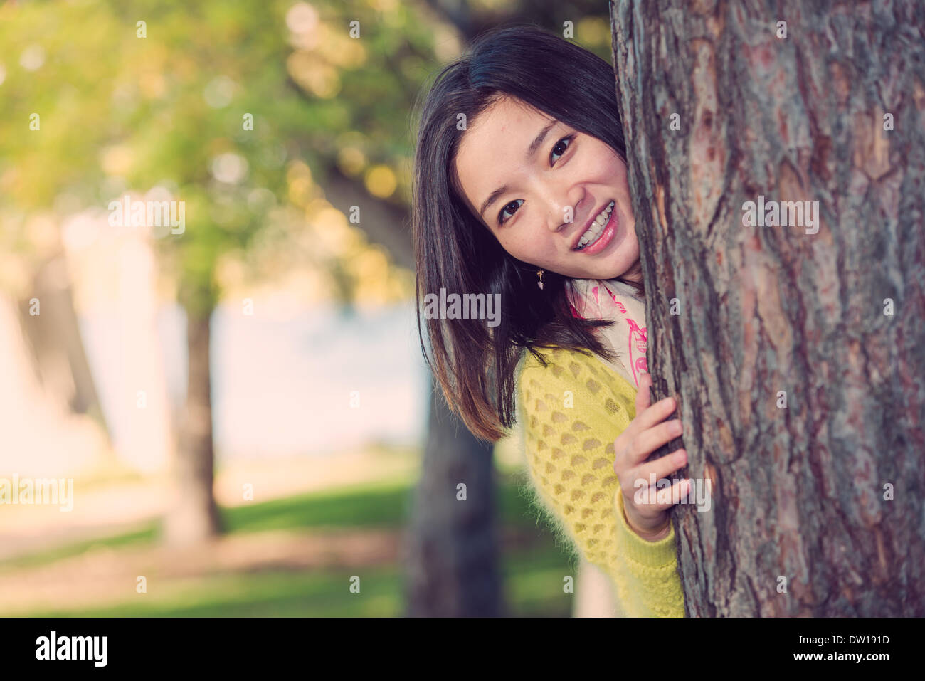 Woman hiding behind a tree Stock Photo - Alamy
