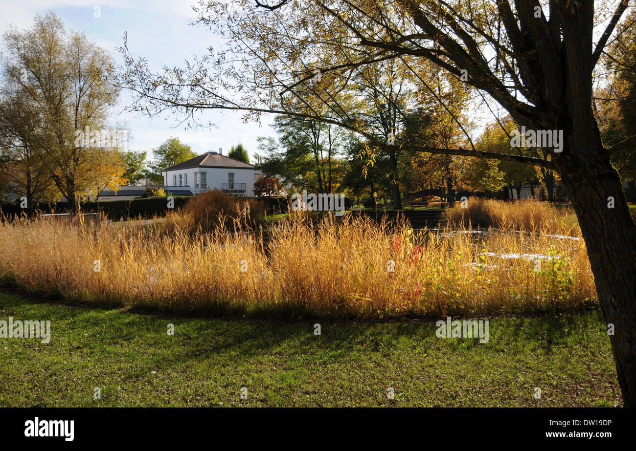 Reed and co hi-res stock photography and images - Alamy