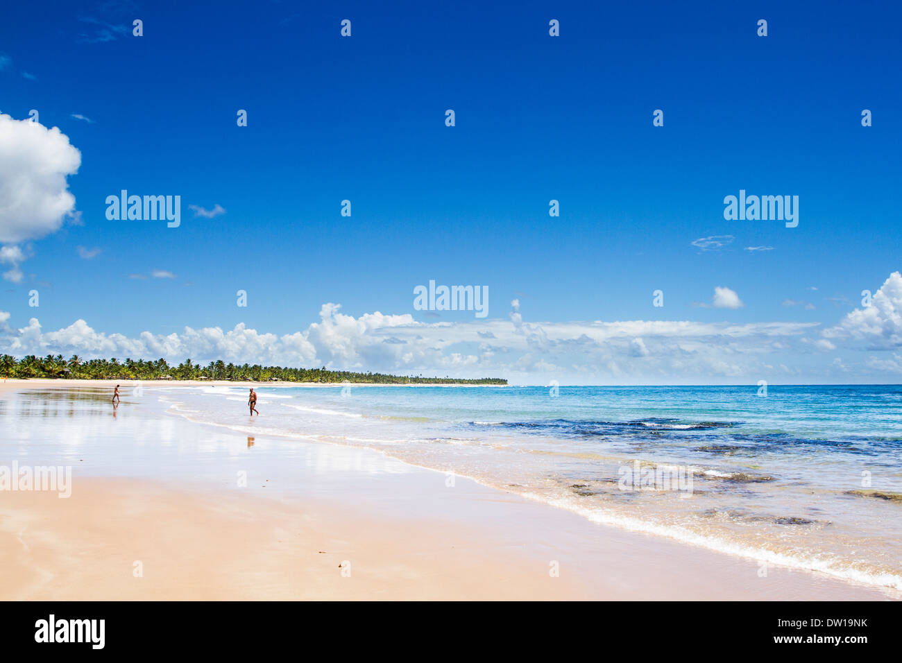 Taipu de Fora Beach, at Marau Peninsula. Marau, Bahia, Brazil Stock ...