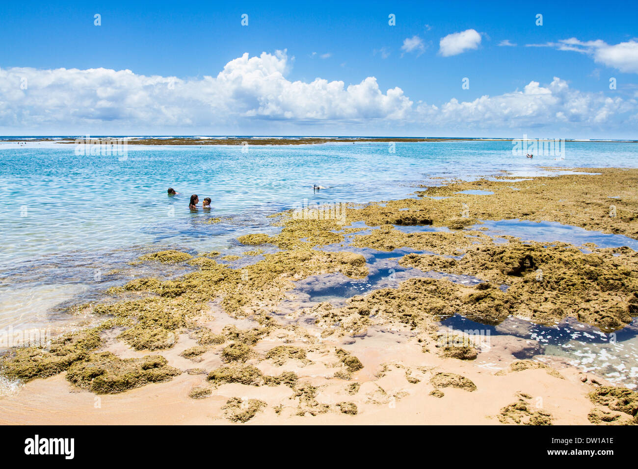 Coral reefs at Taipu de Fora Beach, at Marau Peninsula. Marau, Bahia ...