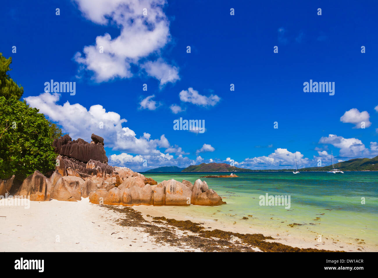 Curieuse hi-res stock photography and images - Alamy