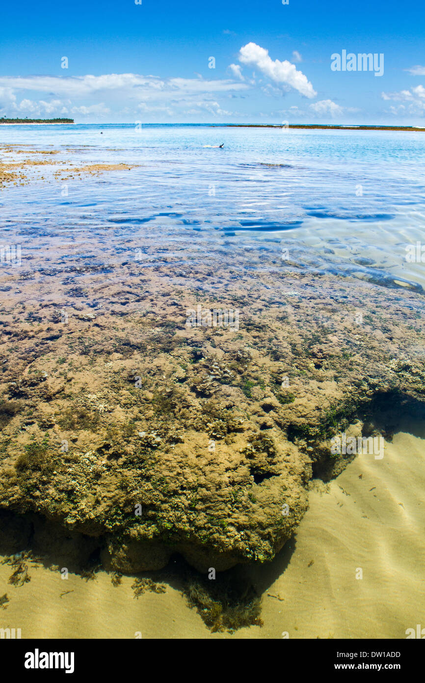 Coral reefs at Taipu de Fora Beach, at Marau Peninsula. Marau, Bahia ...