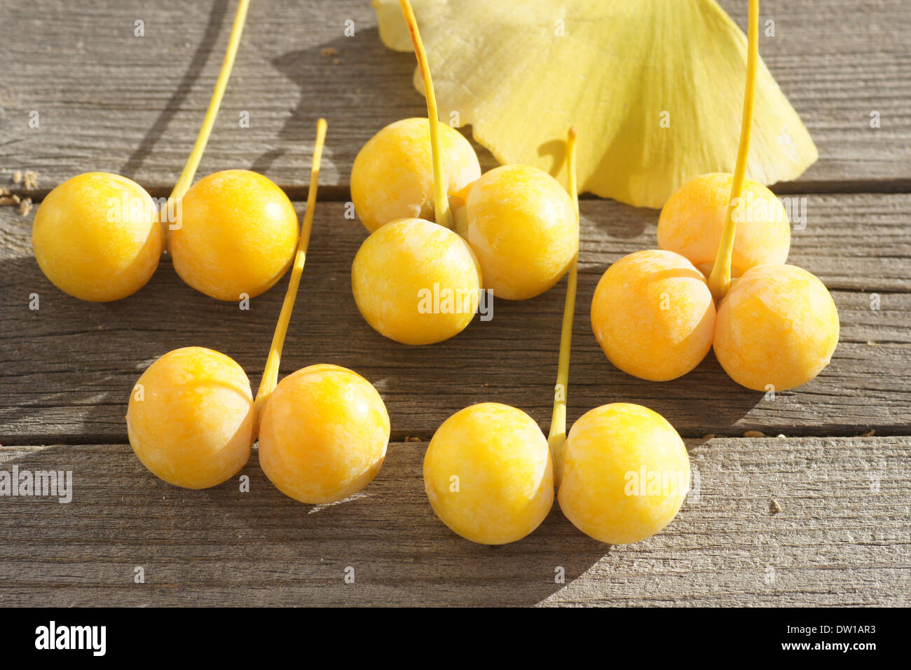 Ginkgo fruits hi-res stock photography and images - Alamy