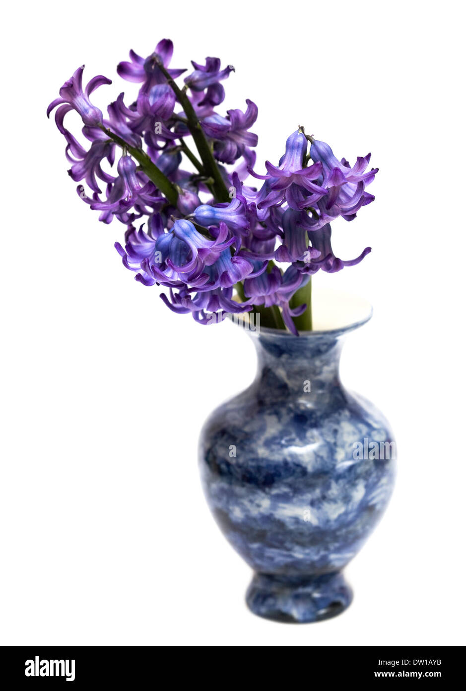 Blue bell flowers pattern Cut Out Stock Images & Pictures - Alamy