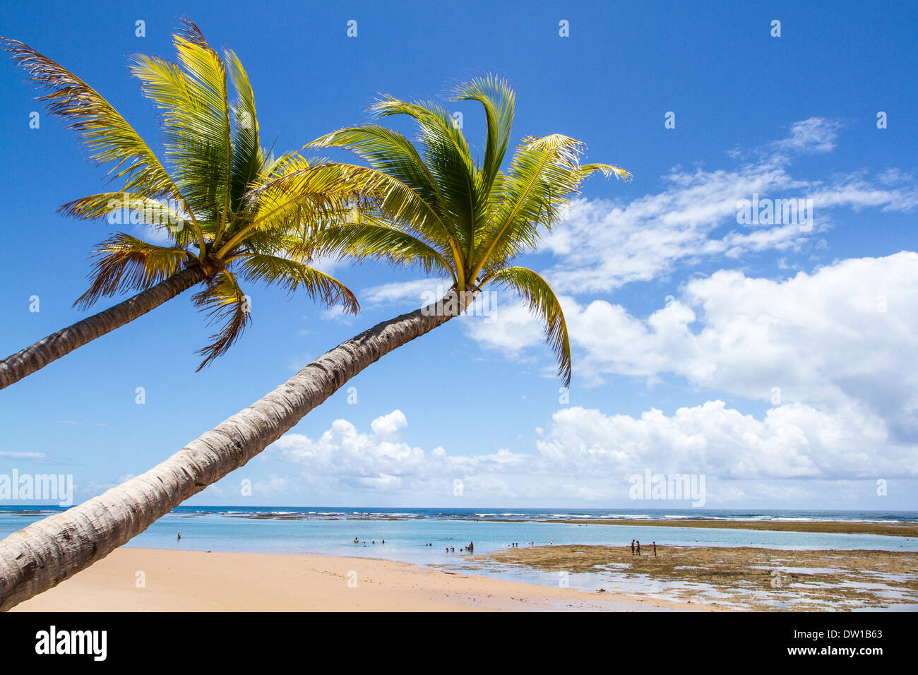 Taipu de Fora Beach, at Marau Peninsula. Marau, Bahia, Brazil Stock ...