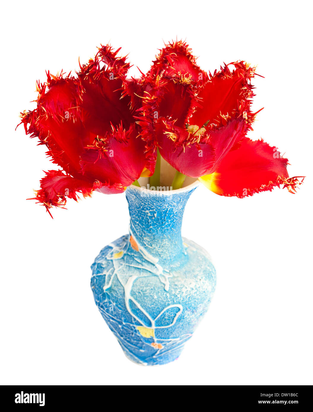 Pattern of white tulips Cut Out Stock Images & Pictures - Alamy