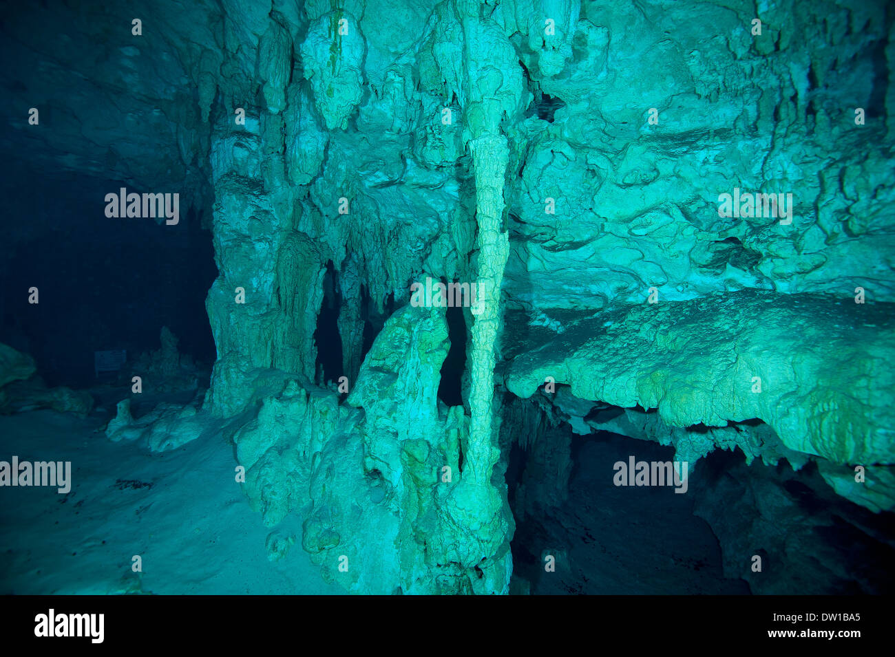Rock formations in the underwater Grand Cenote, Yucatan Peninsula ...