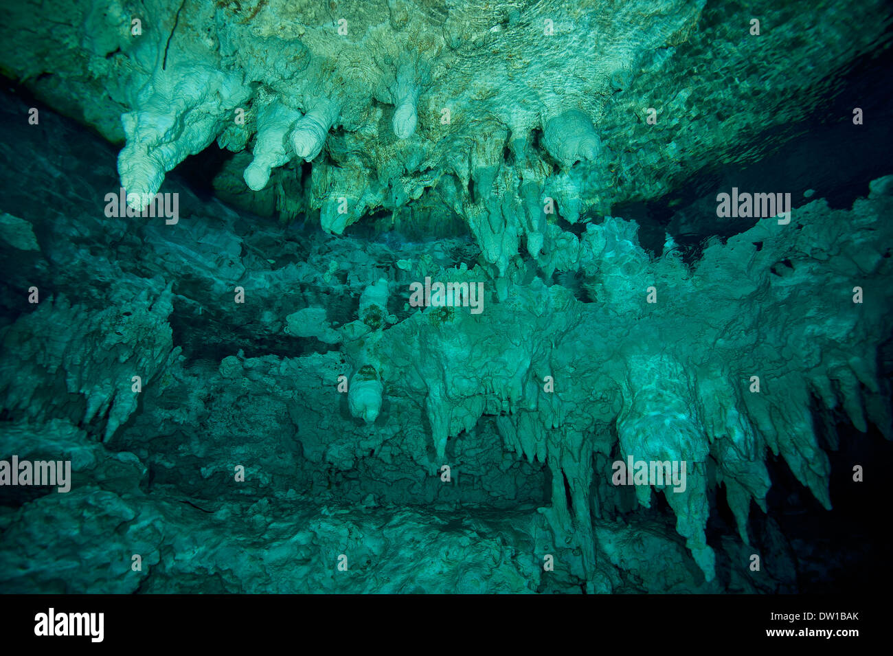 Rock formations in the underwater Grand Cenote, Yucatan Peninsula ...