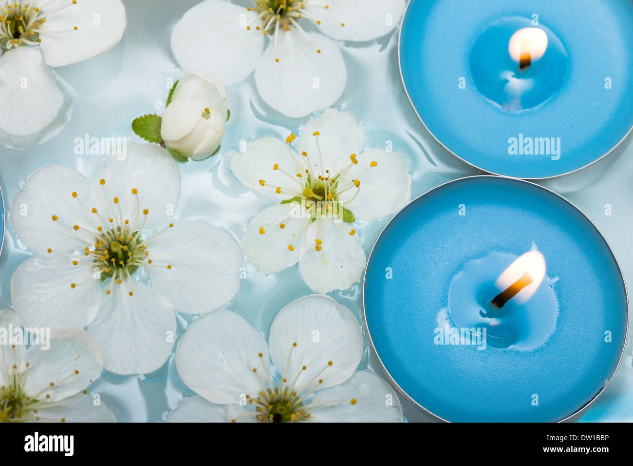 Candle with spring flowers in water Stock Photo - Alamy