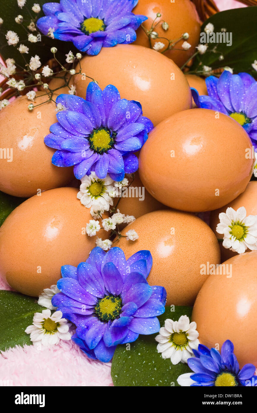 easter egg with blue flowers Stock Photo - Alamy