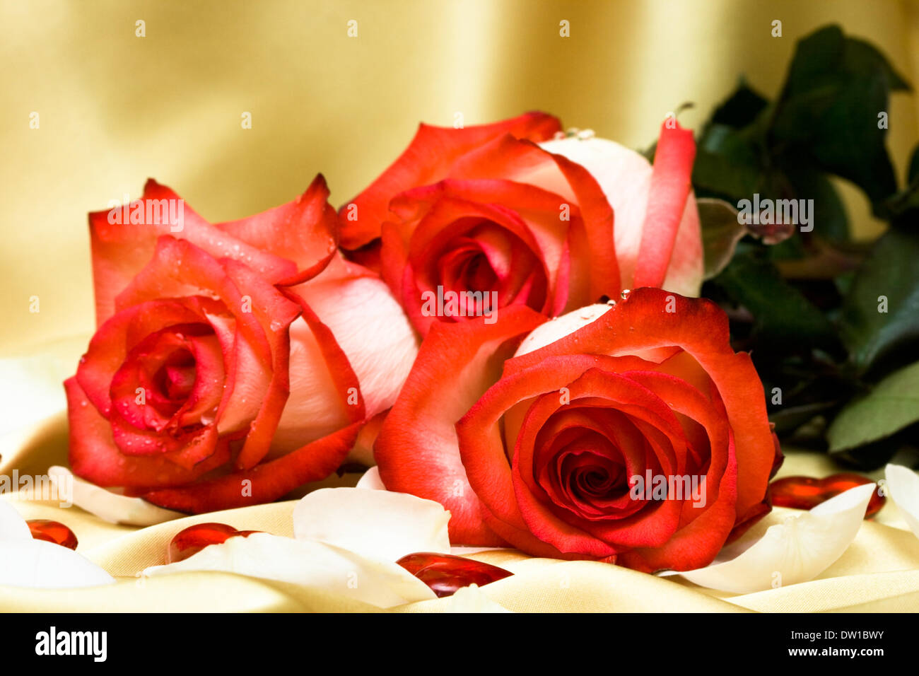 red roses on satin with hearts Stock Photo - Alamy