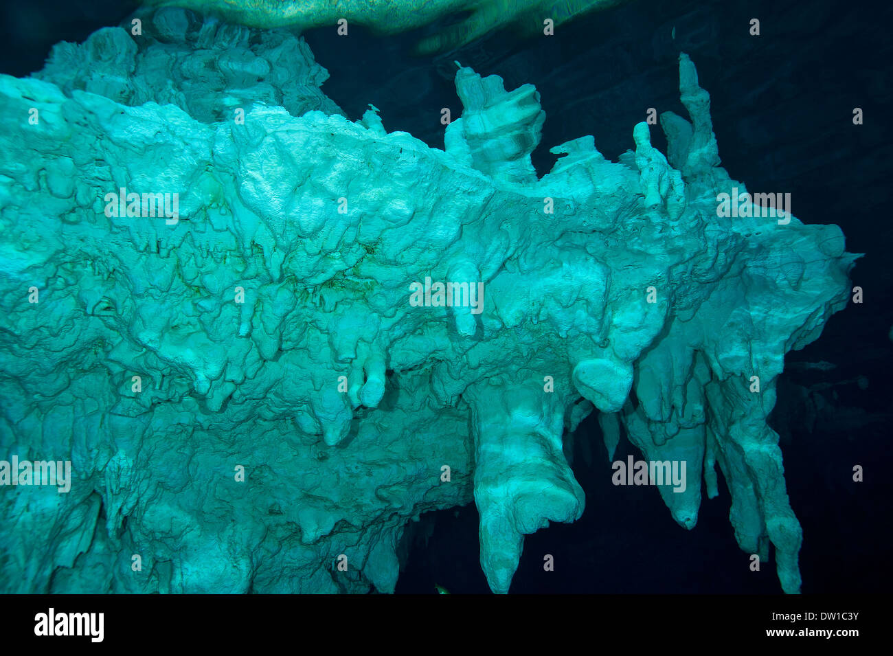 Rock formations in the underwater Grand Cenote, Yucatan Peninsula ...