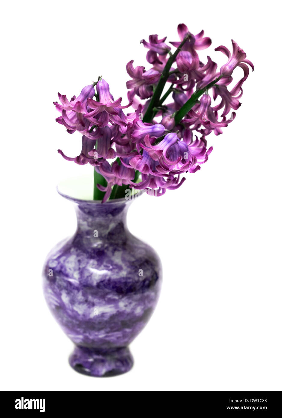 Violet flowers in blue vase Stock Photo - Alamy