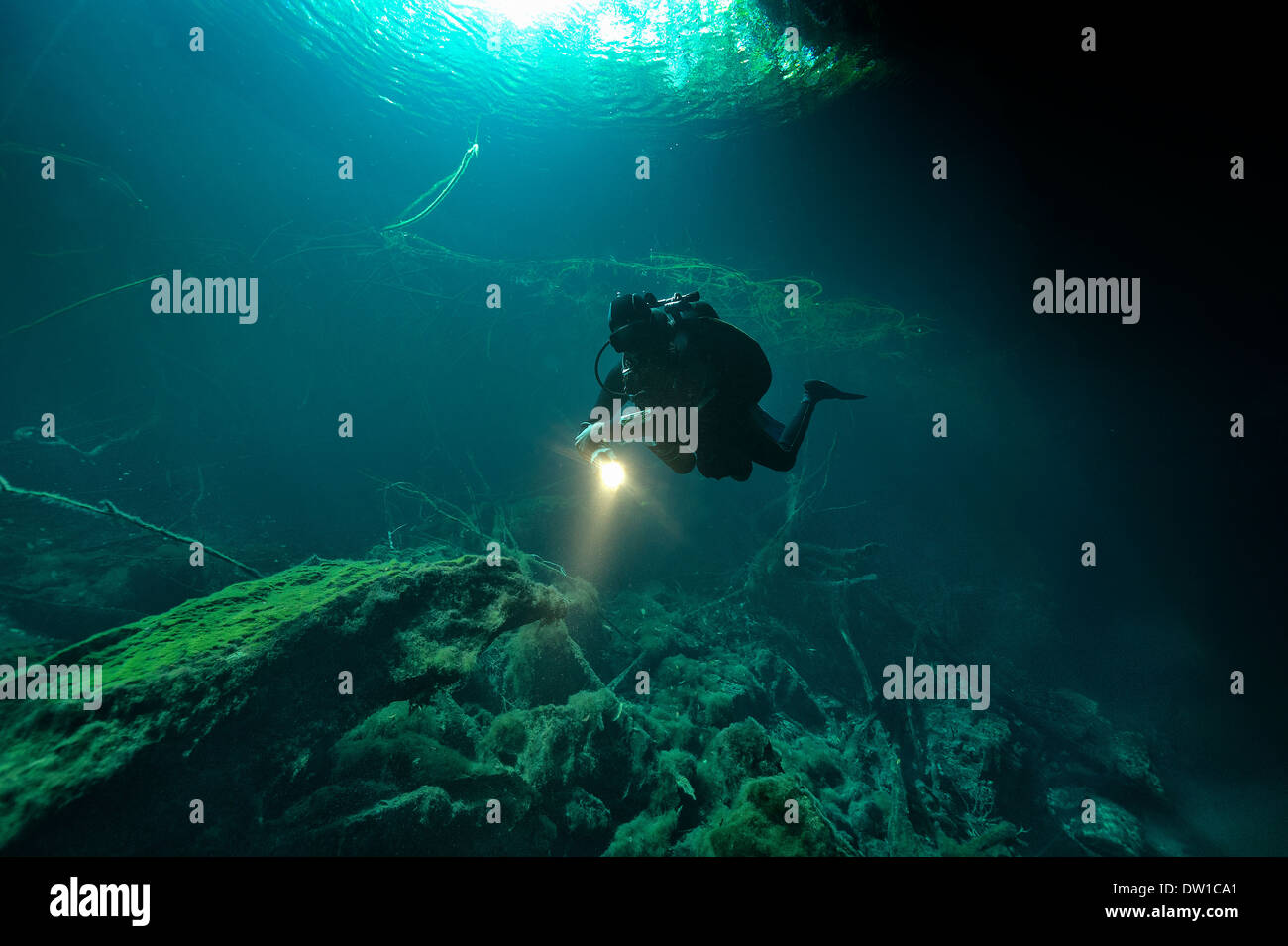 Cave diver system yucatan hi-res stock photography and images - Alamy
