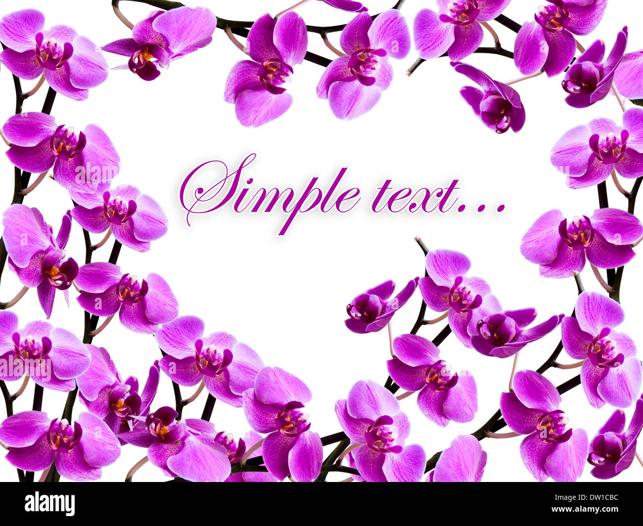 congratulatory frame with many orchids Stock Photo - Alamy