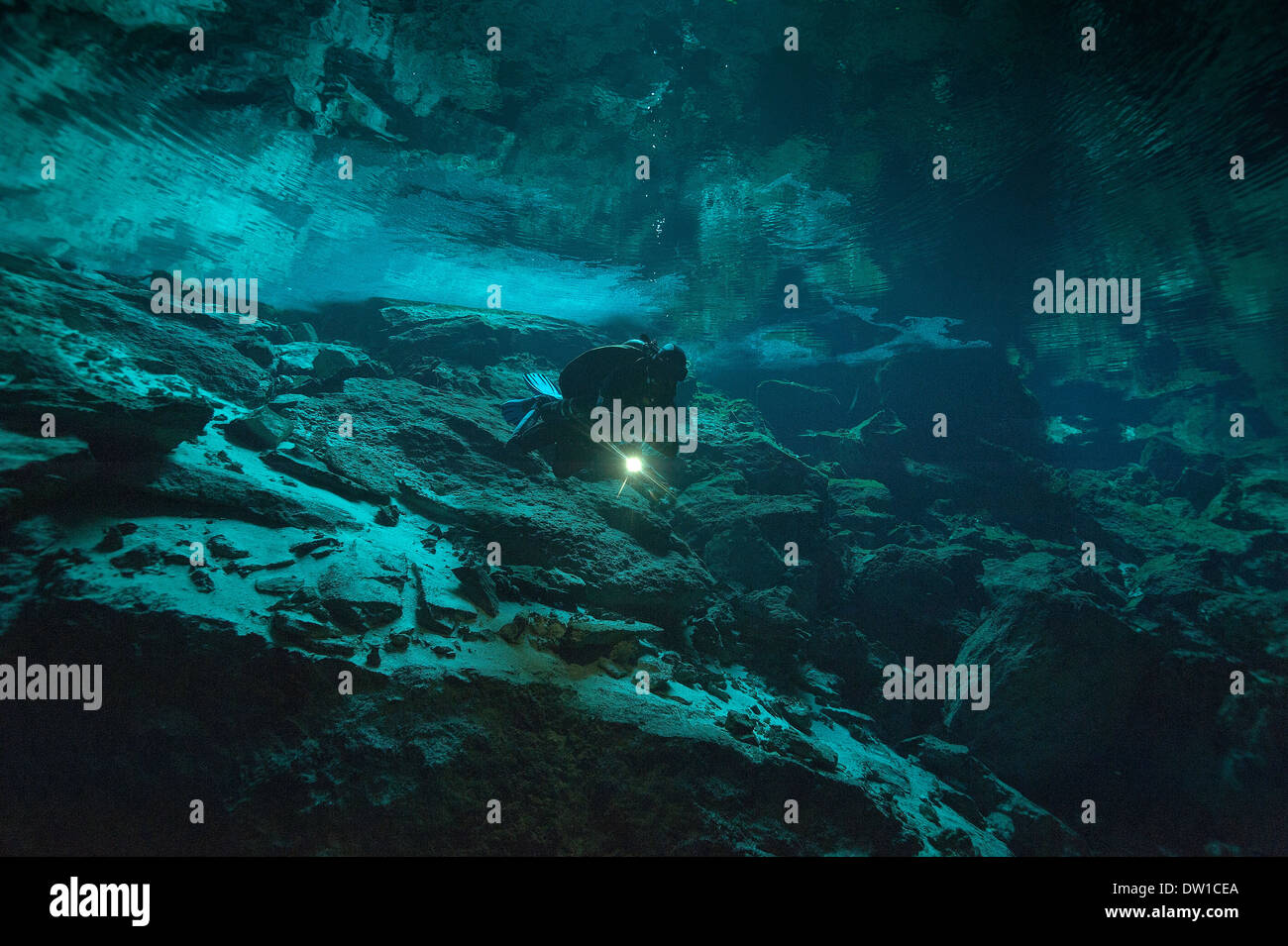 Scuba diver swimming thru the underwater Chikin Ha Cenote cave, Yucatan ...