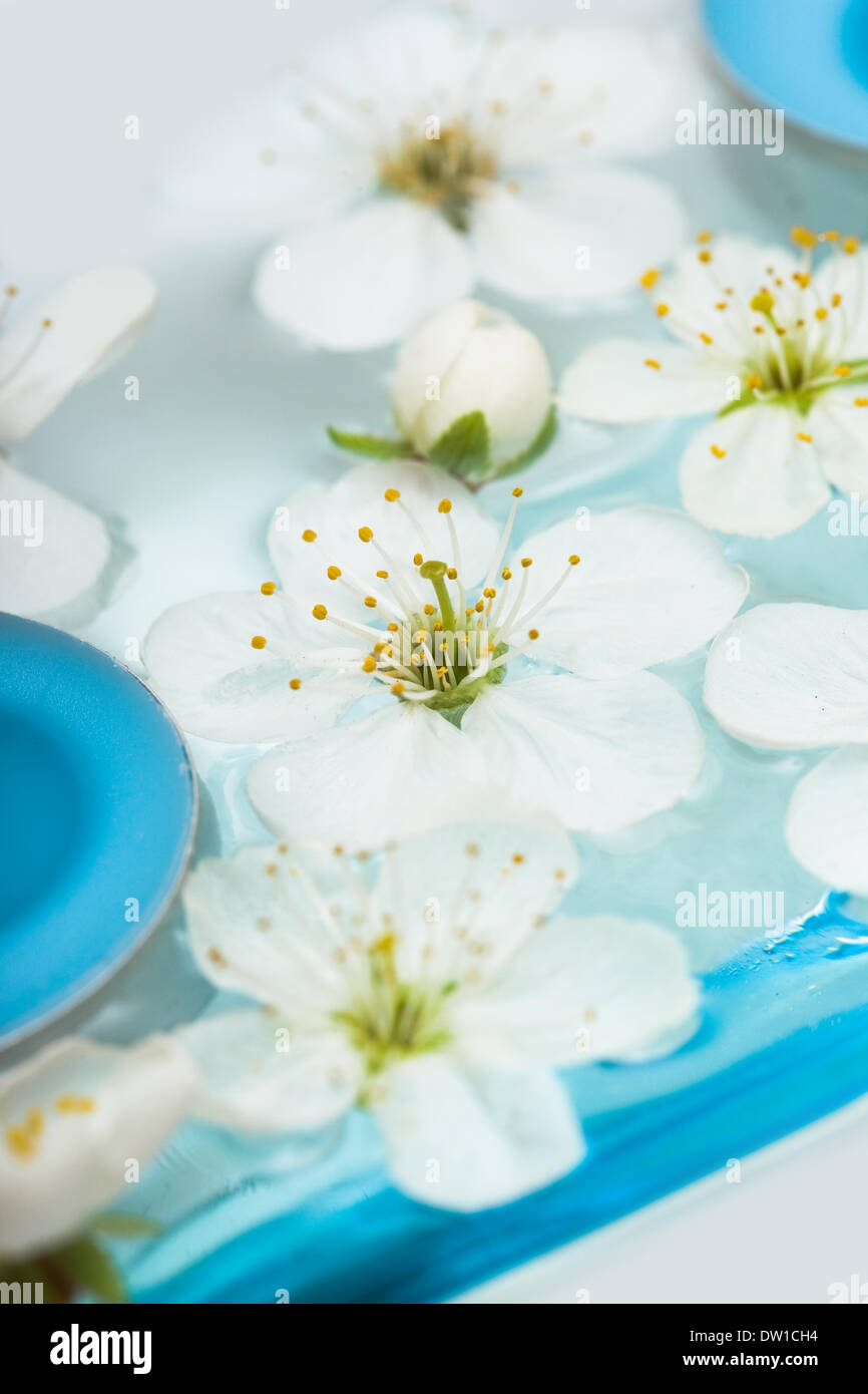 Candle with spring flowers in water Stock Photo - Alamy