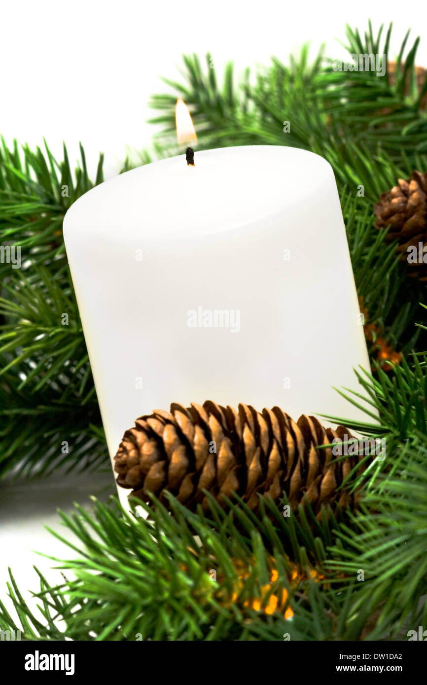 White fur tree hi-res stock photography and images - Alamy