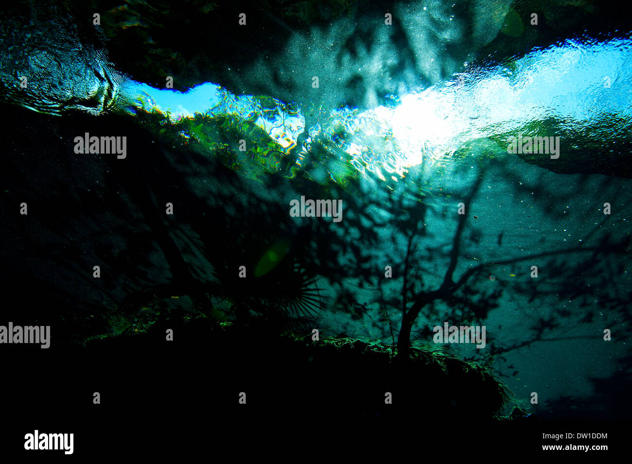 Ambient light hi-res stock photography and images - Alamy