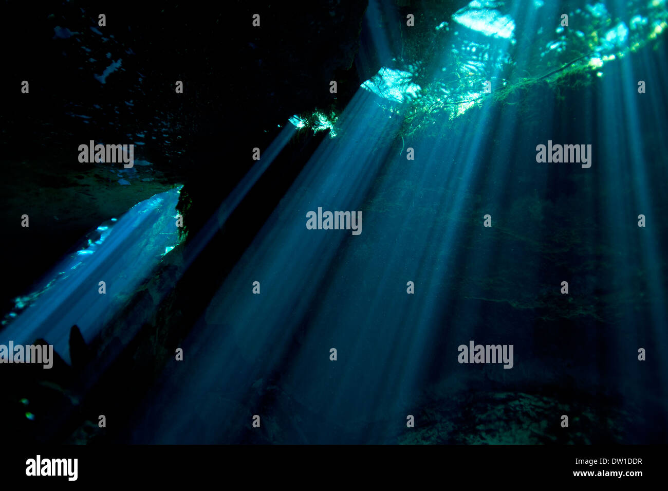 Scenery and ambient light in the underwater Kulukan Cenote cave ...