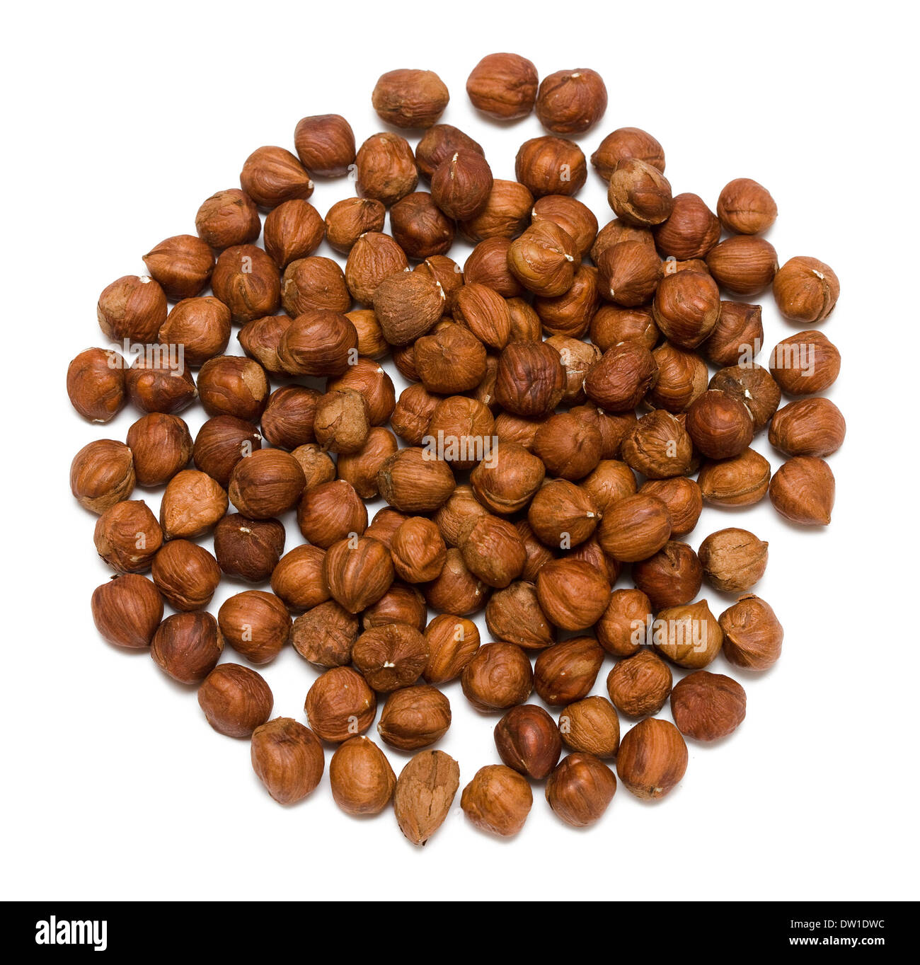 many hazelnuts isolated on white background Stock Photo - Alamy