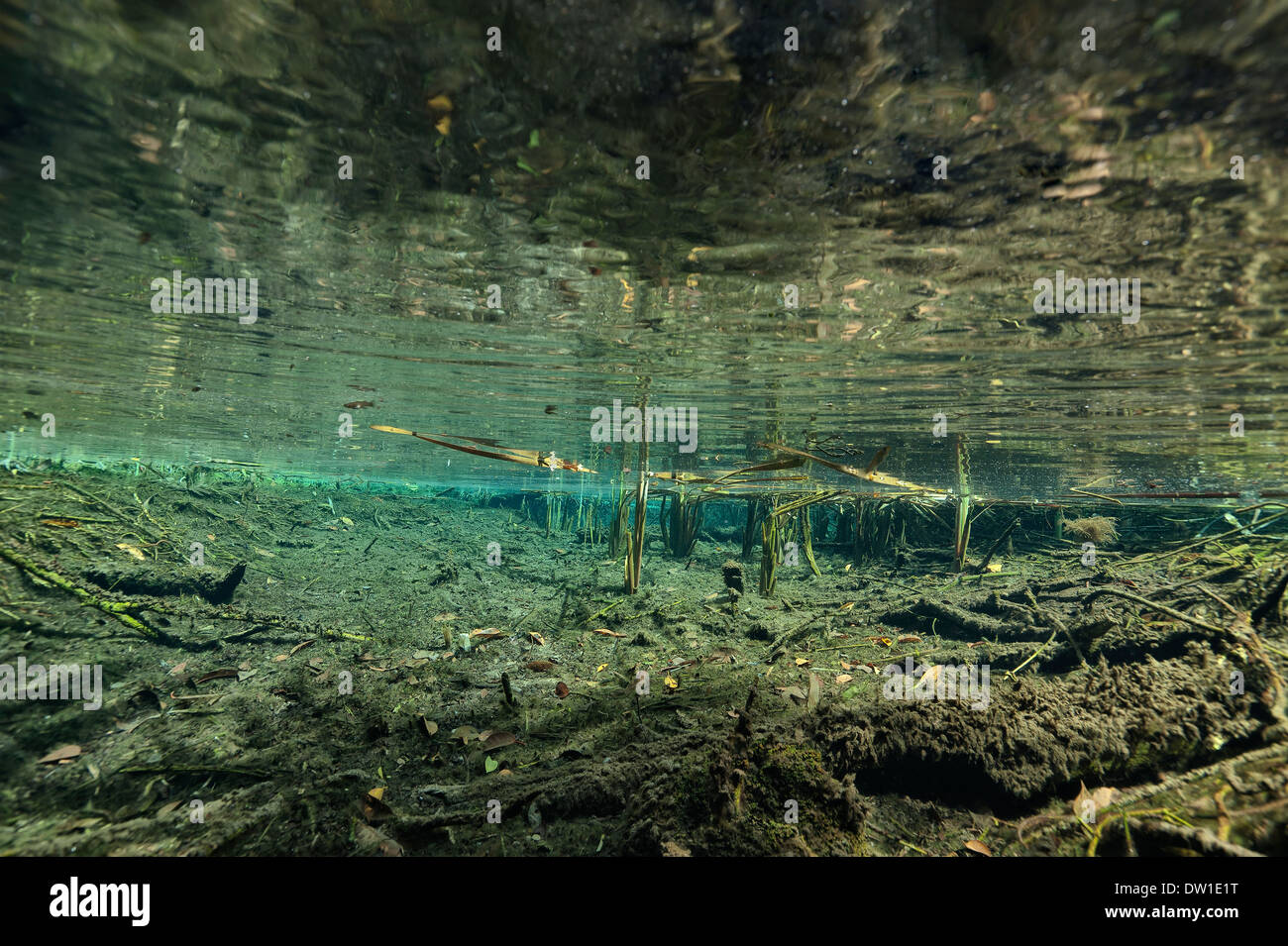 Scenery and ambient light in the underwater Kulukan Cenote cave ...