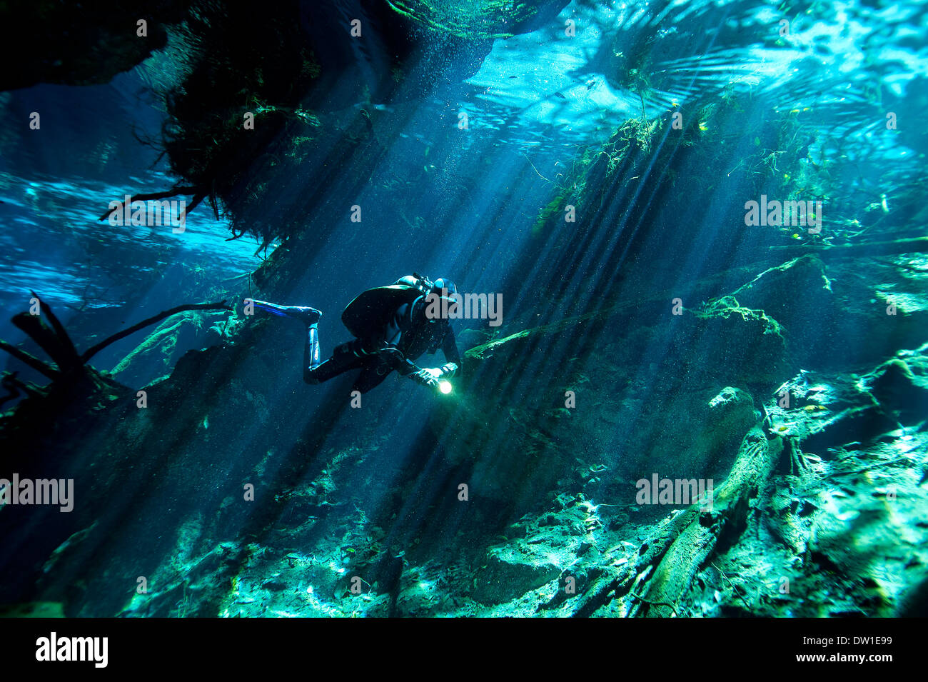 Scuba diver swimming thru the underwater Chac Mool Cenote cave, Yucatan ...