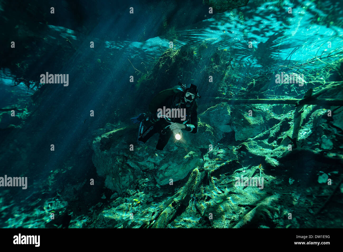Diver In The Cenote Chac Mool High Resolution Stock Photography and ...