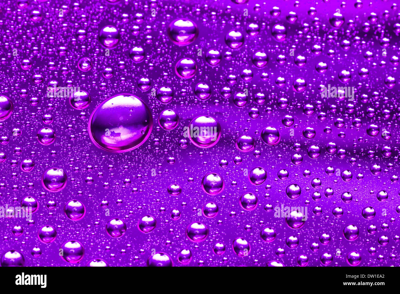 violet water drops for background Stock Photo - Alamy