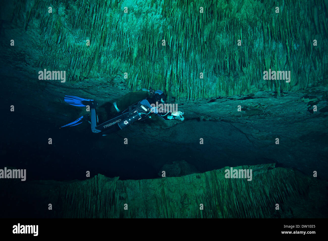 Scuba diver swimming thru the underwater Chac Mool Cenote cave, Yucatan ...