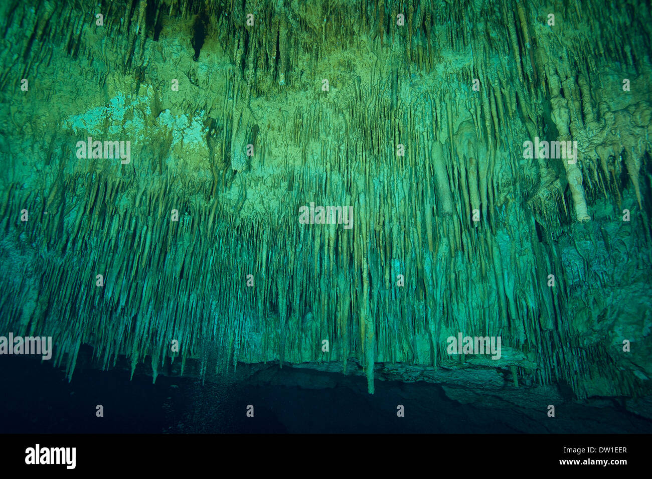 Underwater cave ceiling hi-res stock photography and images - Alamy