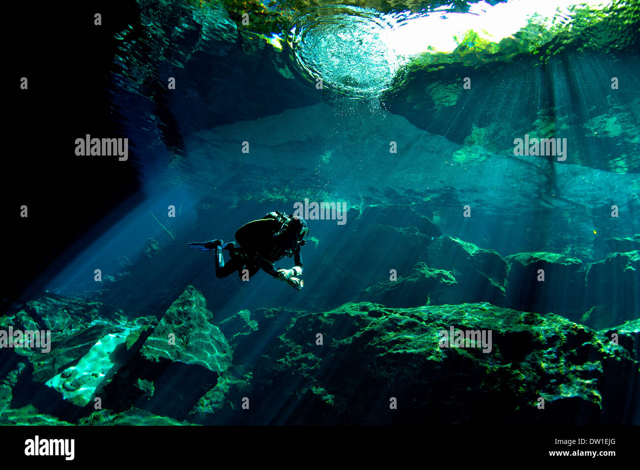 Scuba diver swimming thru the underwater Kukukan Cenote cave, Yucatan ...