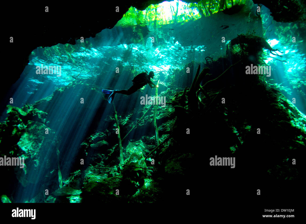 Scuba diver swimming thru the underwater Chac Mool Cenote cave, Yucatan ...