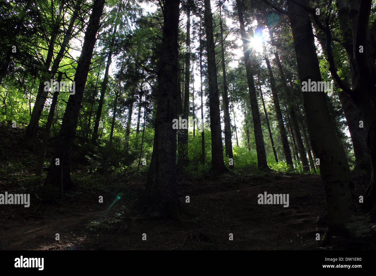 Ground beam hi-res stock photography and images - Alamy