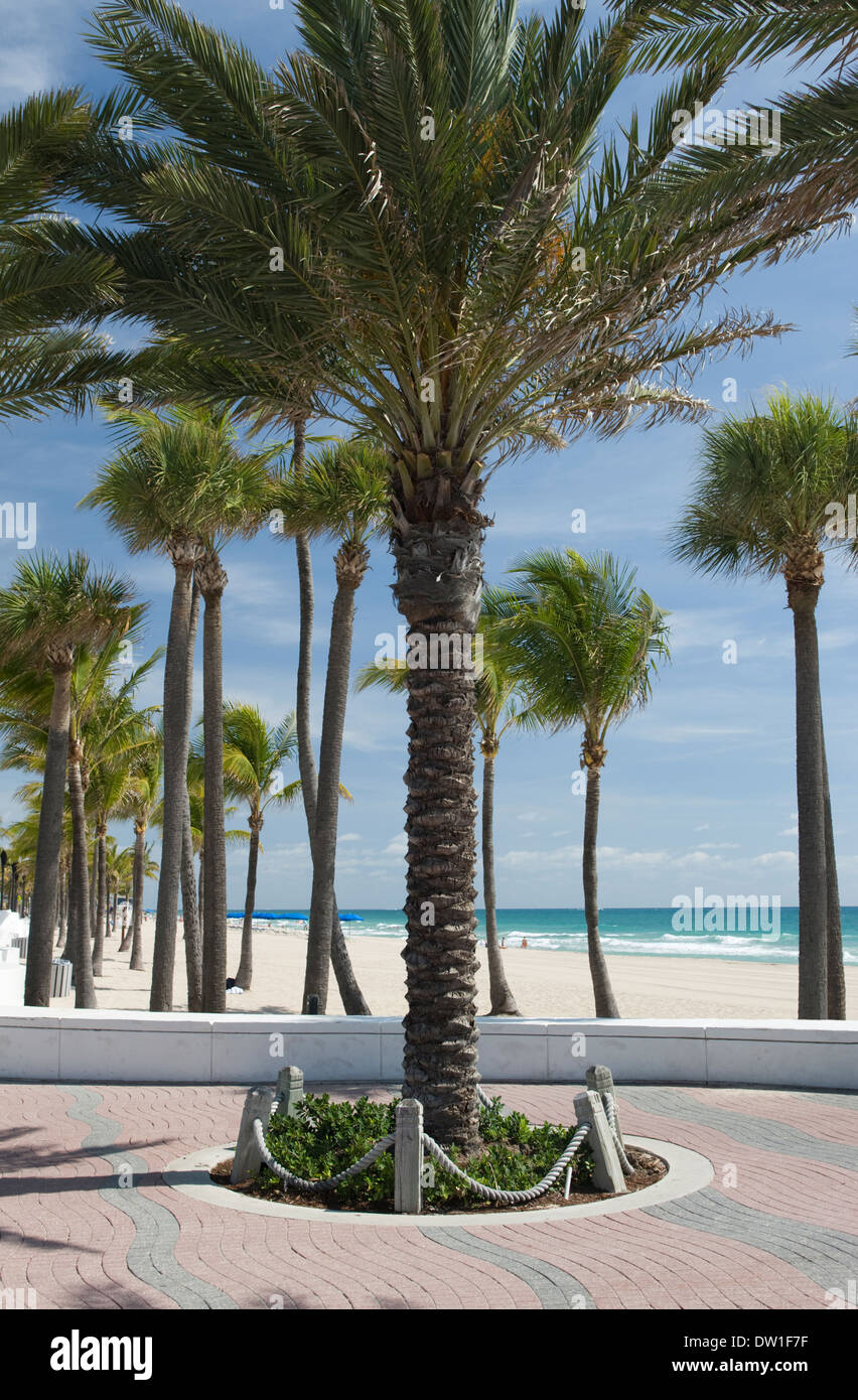 Wave wall promenade fort lauderdale hi-res stock photography and images ...