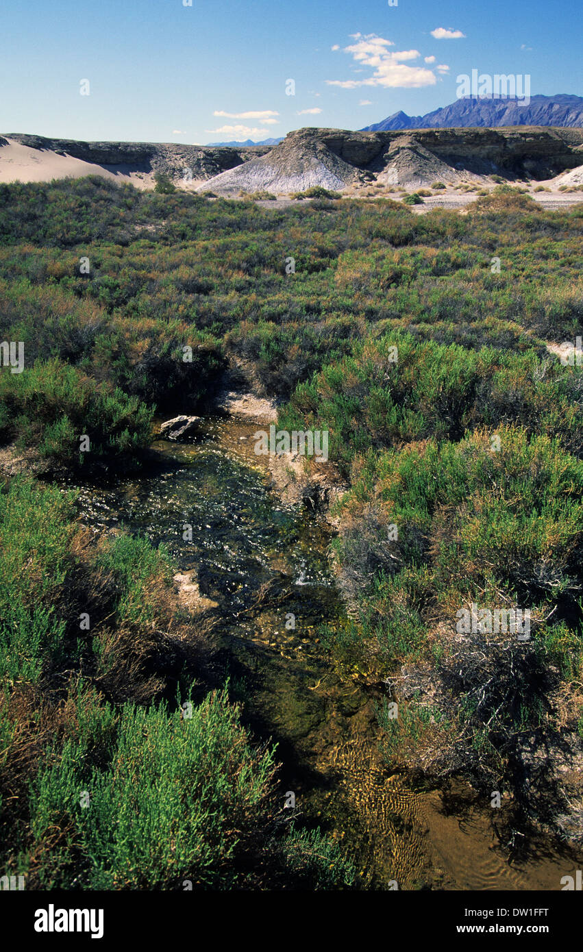 Salt creek hi-res stock photography and images - Alamy