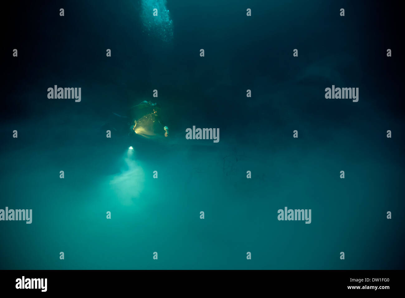Scuba diver swimming thru the underwater cenote Pit cave, Yucatan ...