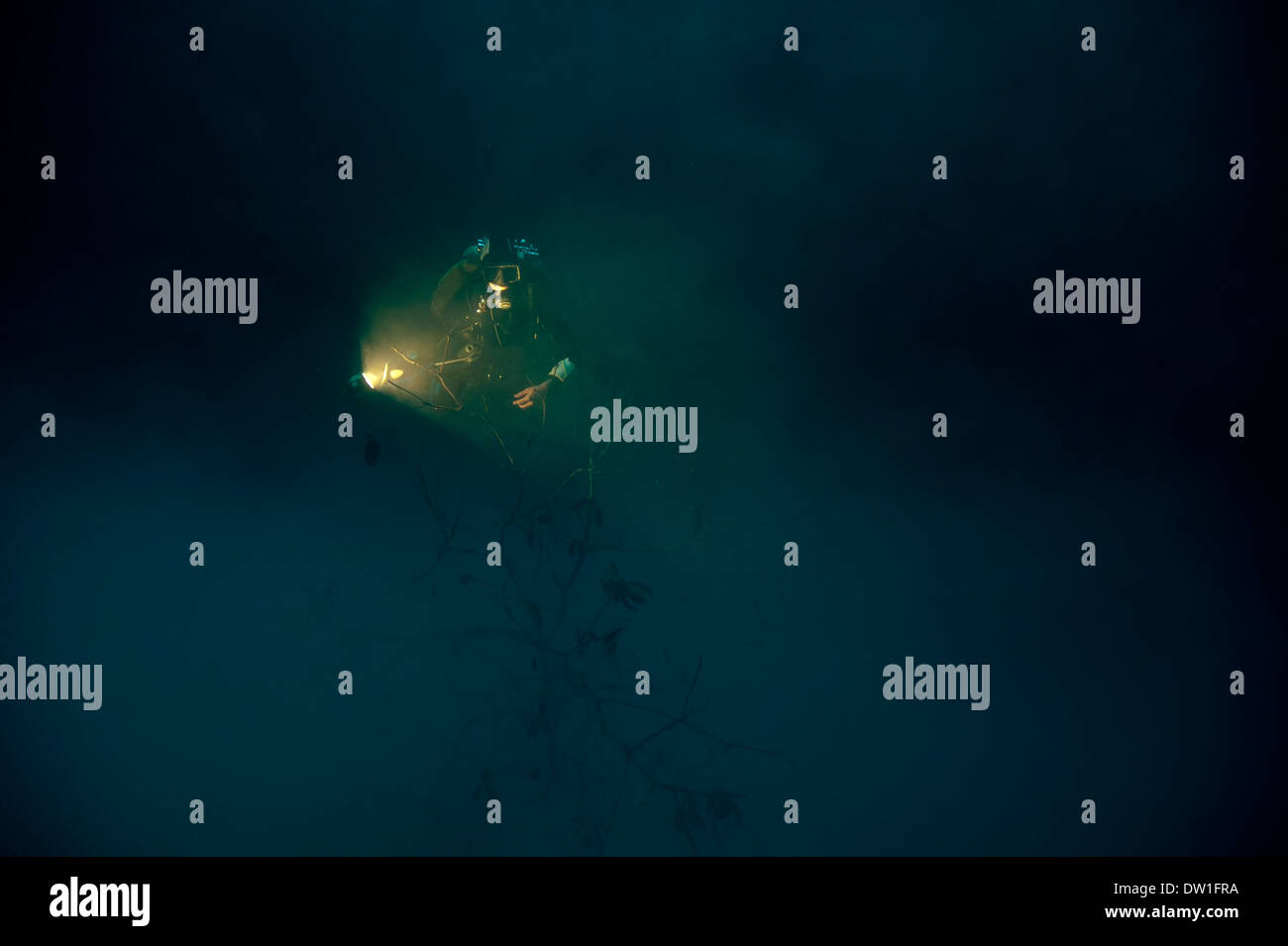 Scuba diver swimming thru the underwater cenote Pit cave, Yucatan ...