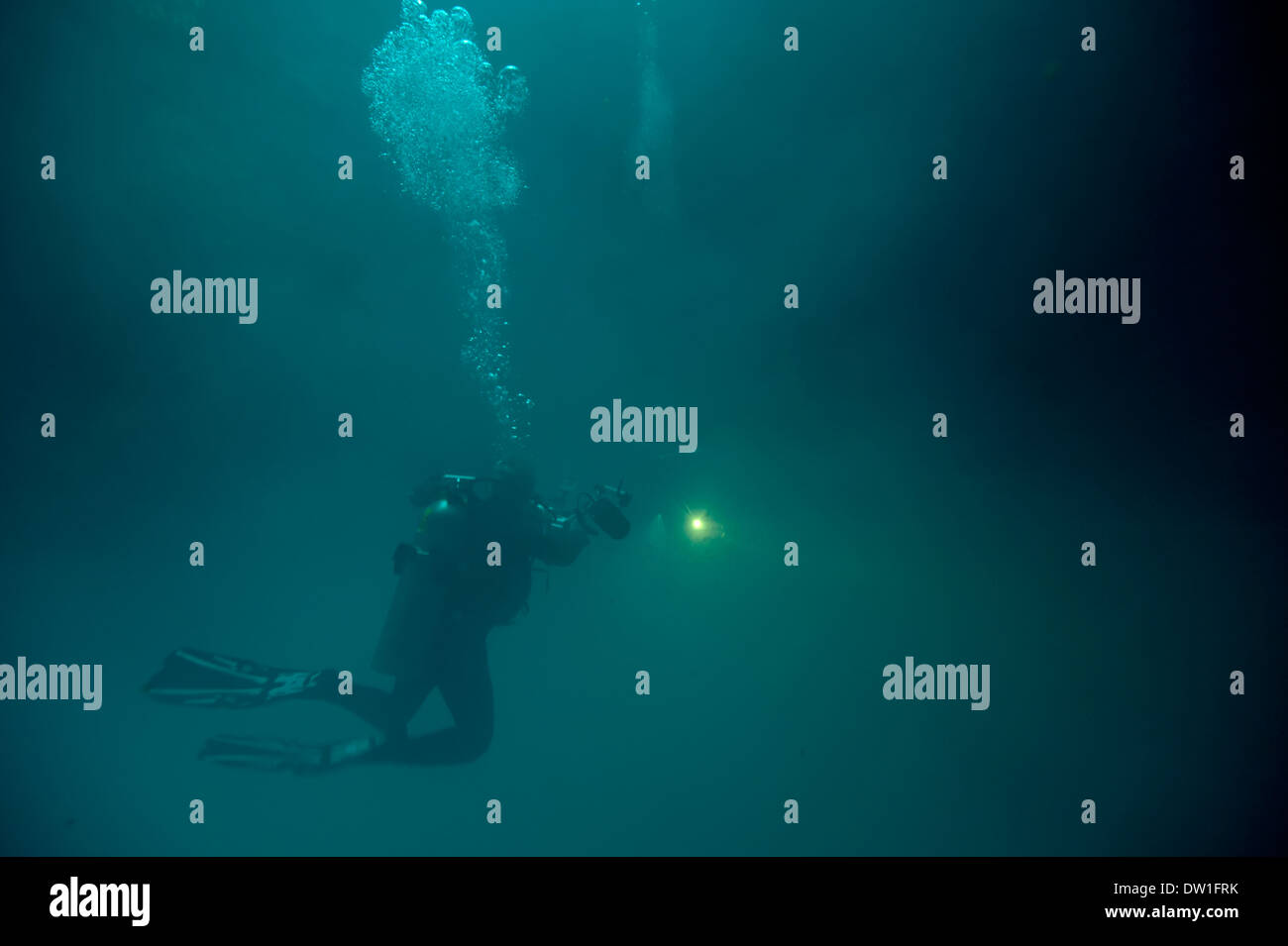Scuba diver swimming thru the underwater cenote Pit cave, Yucatan ...