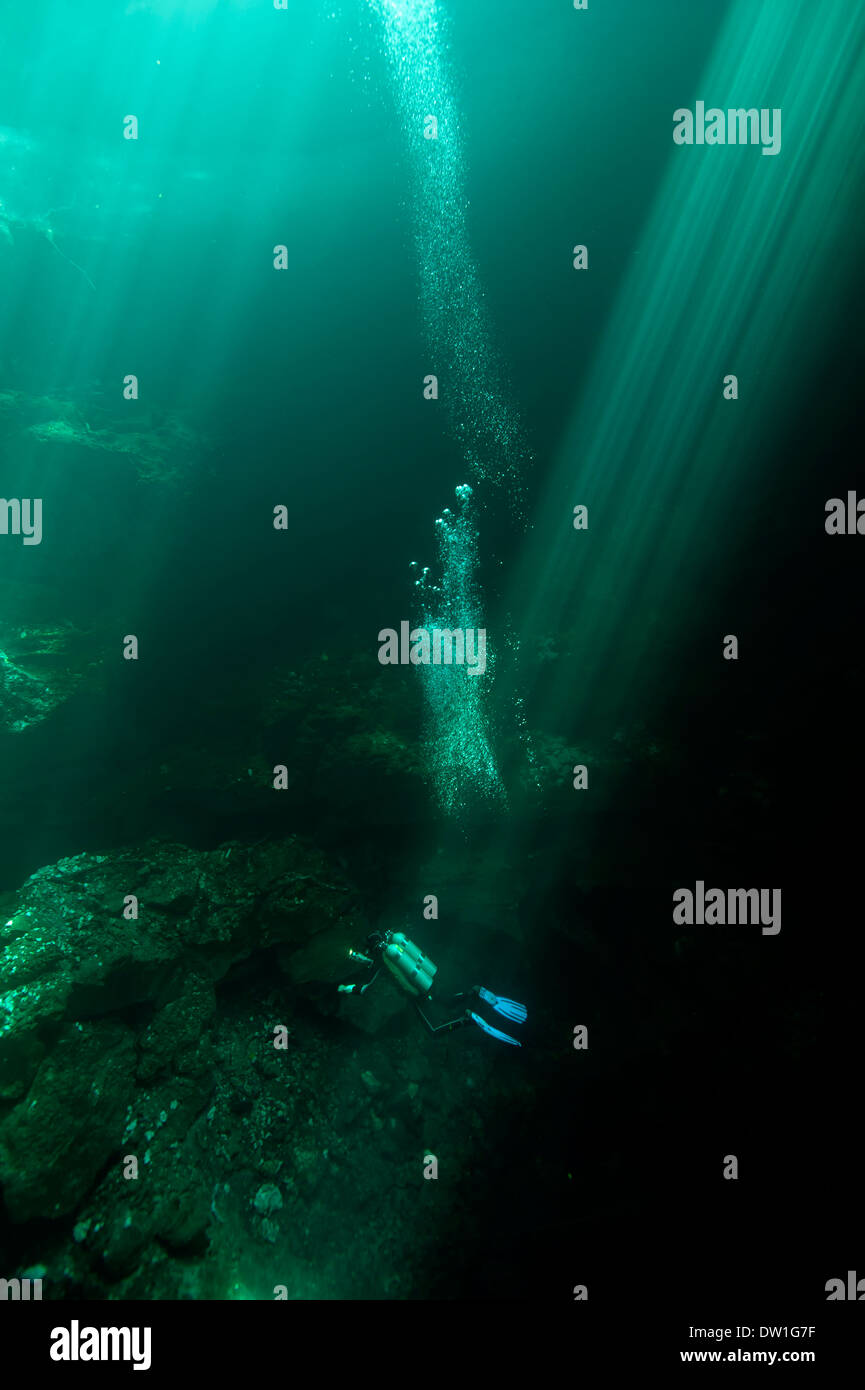 Scuba diver swimming thru the underwater cenote Pit cave, Yucatan ...