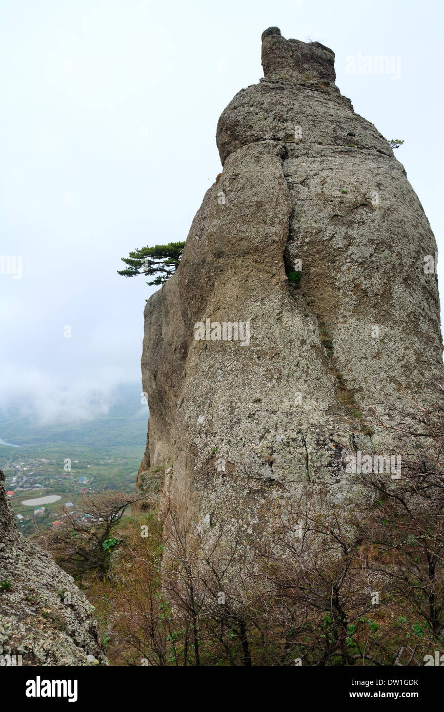Slope trees hi-res stock photography and images - Alamy Slope trees hi-res stock photography and images - Alamy
